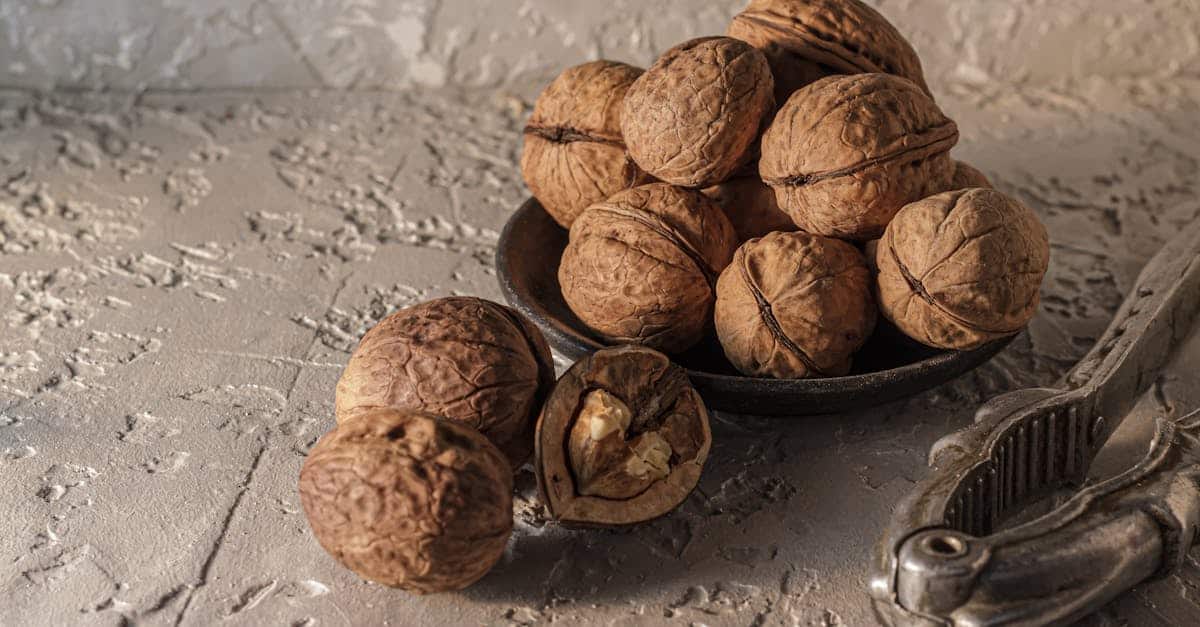 10 Proven Health Benefits of Walnuts for Brain and Heart